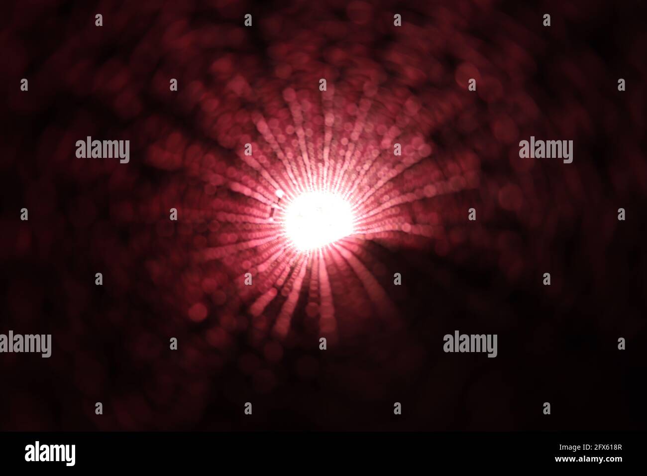 sunlight artificial creativity from reflected light of pink flower ...