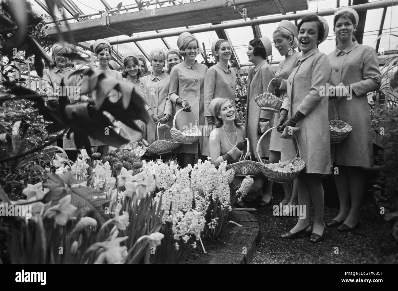 Charlotte march hi-res stock photography and images - Alamy