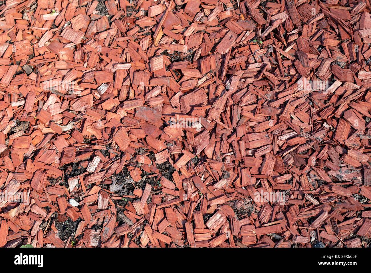 Brown wood chip mulch. Texture background. Horticulture and greenery ...