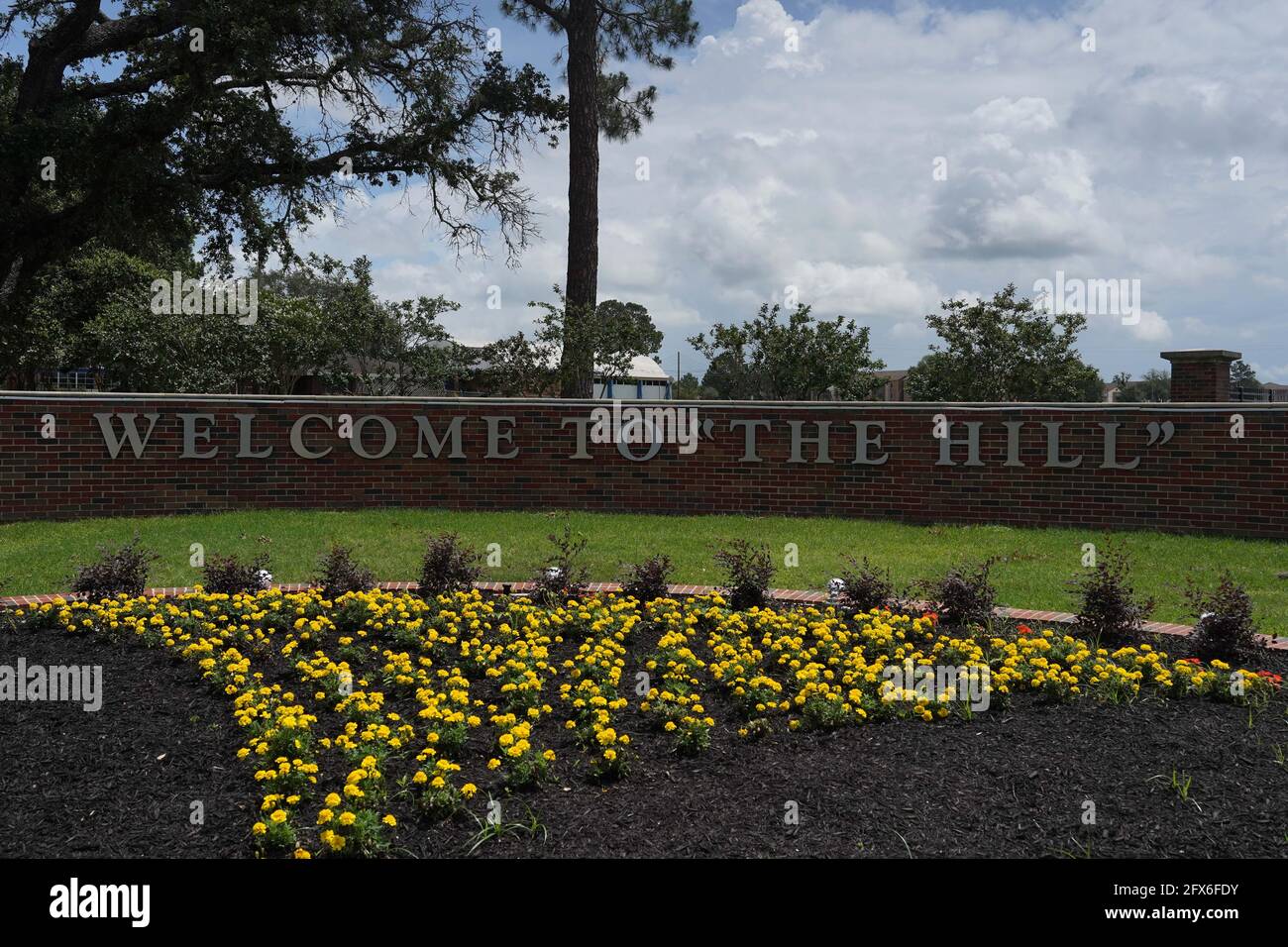 Prairie view am hi-res stock photography and images - Alamy