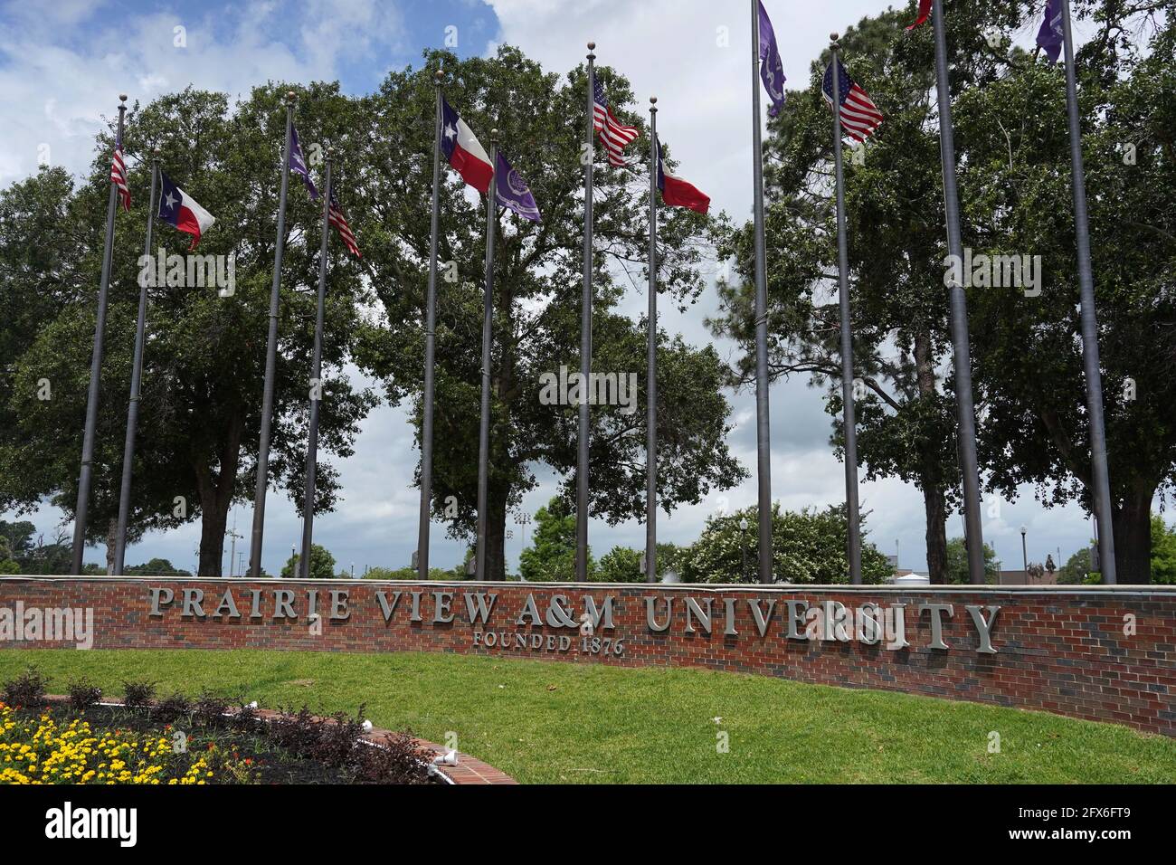 University of texas mascot hi-res stock photography and images - Alamy