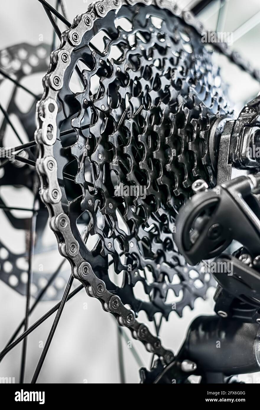 Bicycle rear wheel with detail of the gear system Stock Photo - Alamy