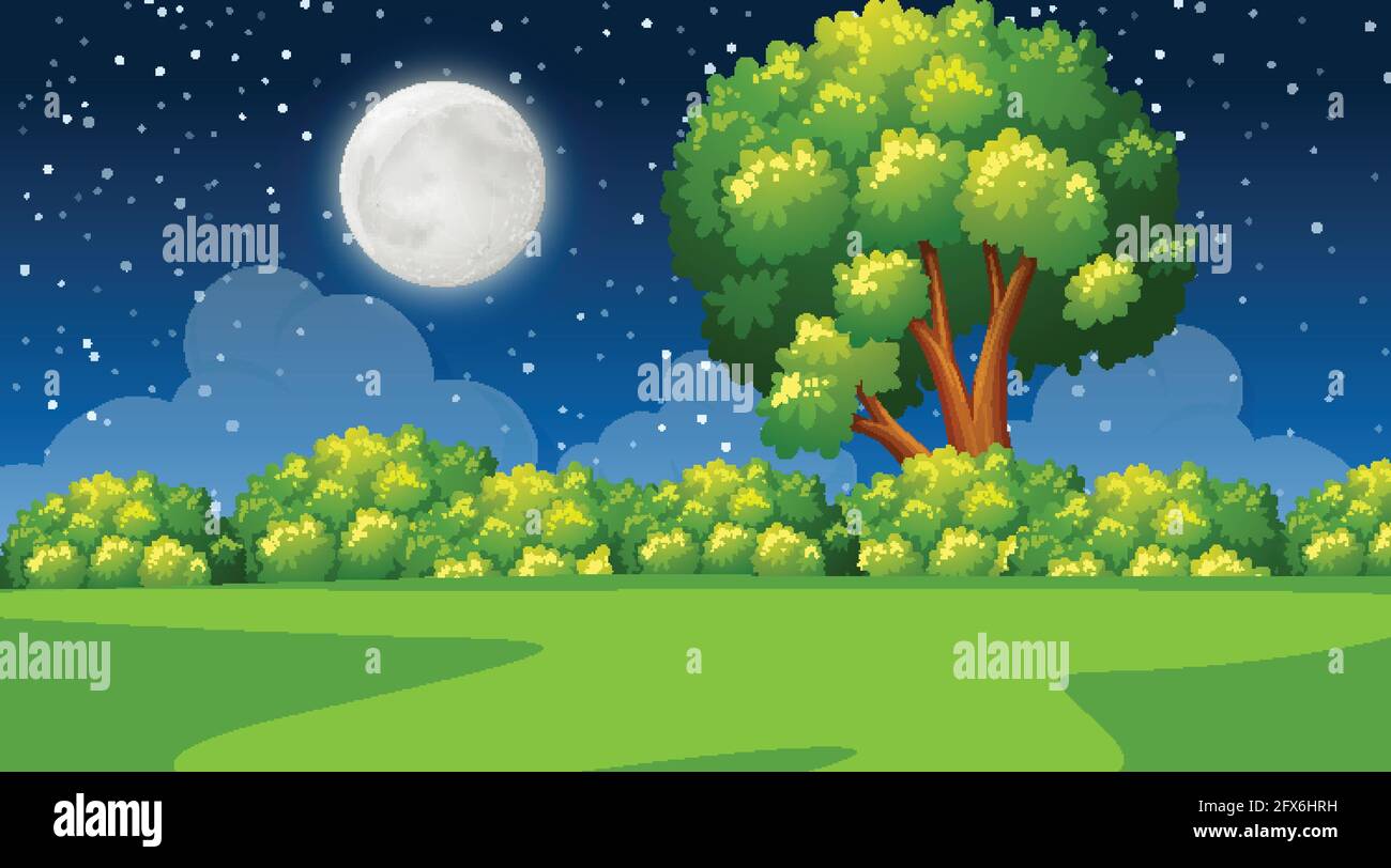 Nature forest landscape at night scene illustration Stock Vector Image ...