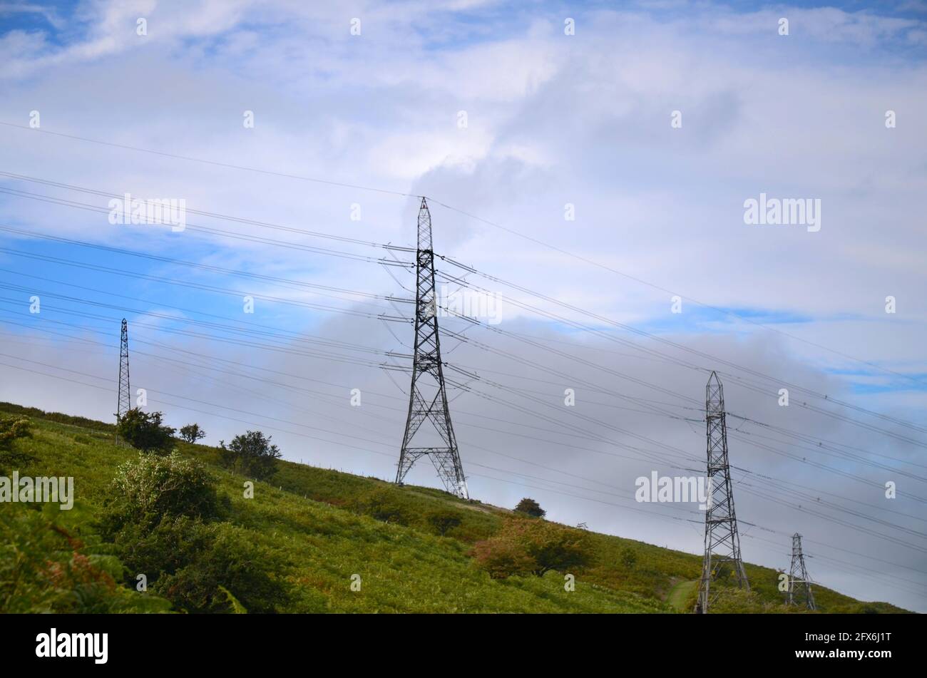 Power lines in the field. Summer landscape with high tension lines in ...