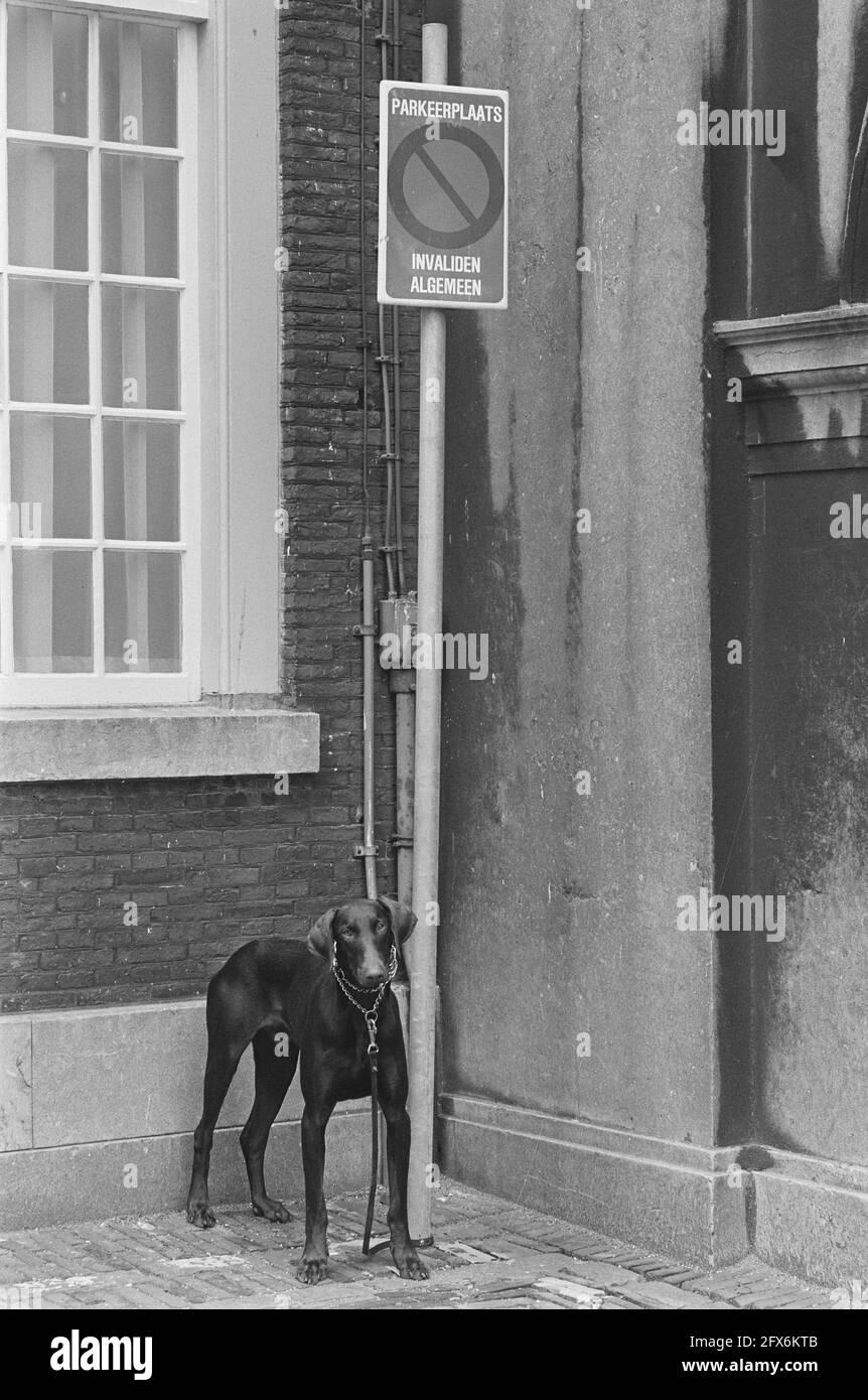 Dog on pole sign disabled parking sign at Binnenhof, June 18, 1987, The ...