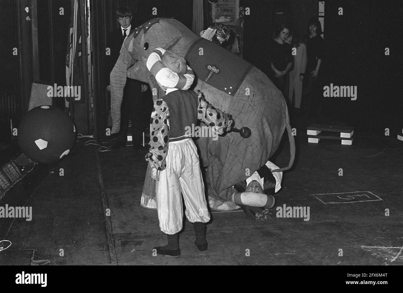 Elephant elbow hi-res stock photography and images - Alamy