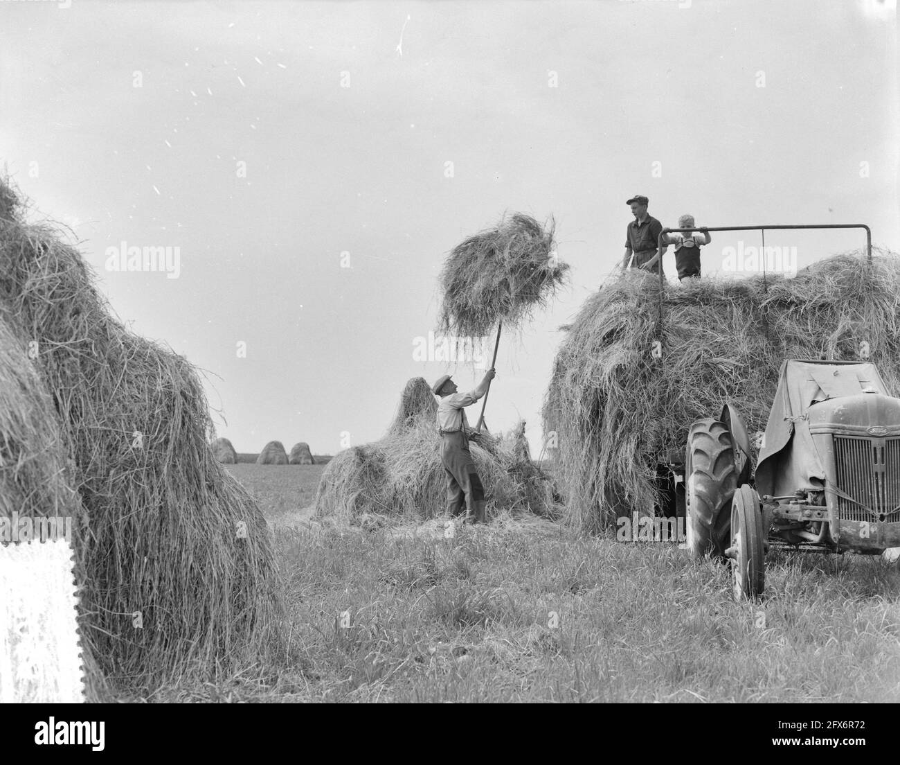 Haying time, 1945 hi-res stock photography and images - Alamy