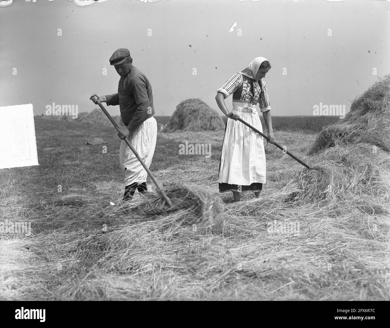 Haying time, 1945 hi-res stock photography and images - Alamy