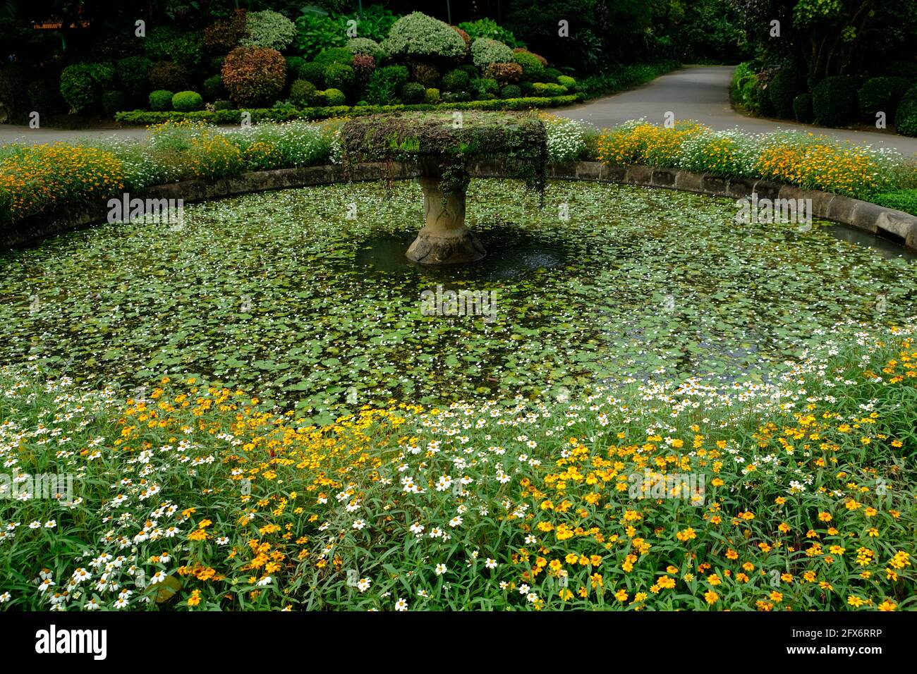 Sri Lanka - Kandy Royal Botanic Gardens fountain with flowers Stock ...
