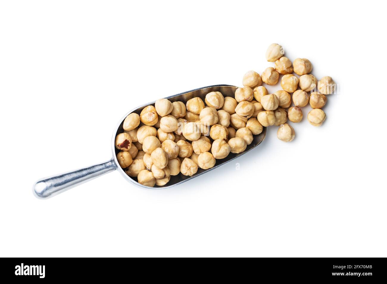 Peeled roasted hazelnut kernels in metal scoop isolated on white ...