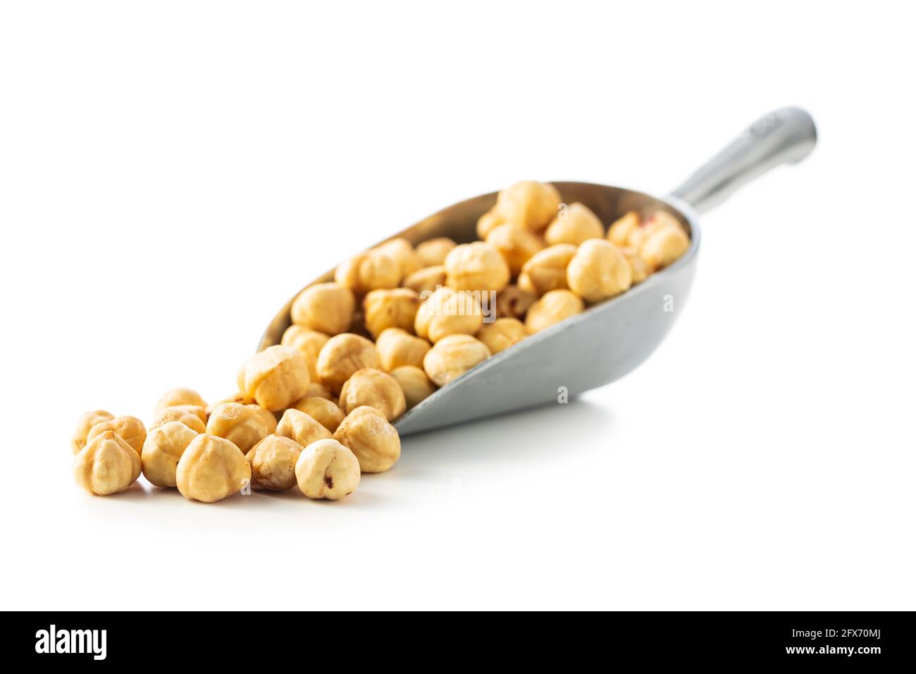 Peeled roasted hazelnut kernels in metal scoop isolated on white ...