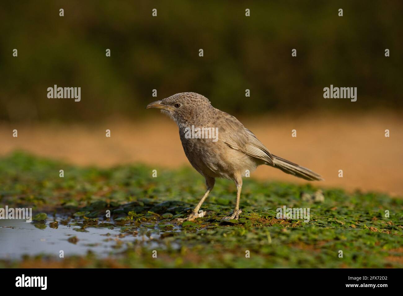 Lives communally hi-res stock photography and images - Alamy