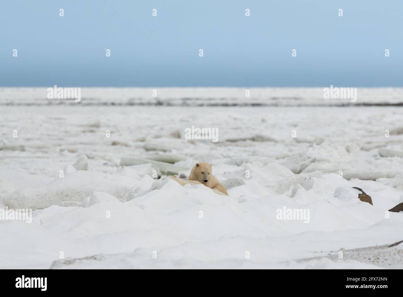 The arctic tundra area of Churchill, Manitoba. Polar bear capital of ...