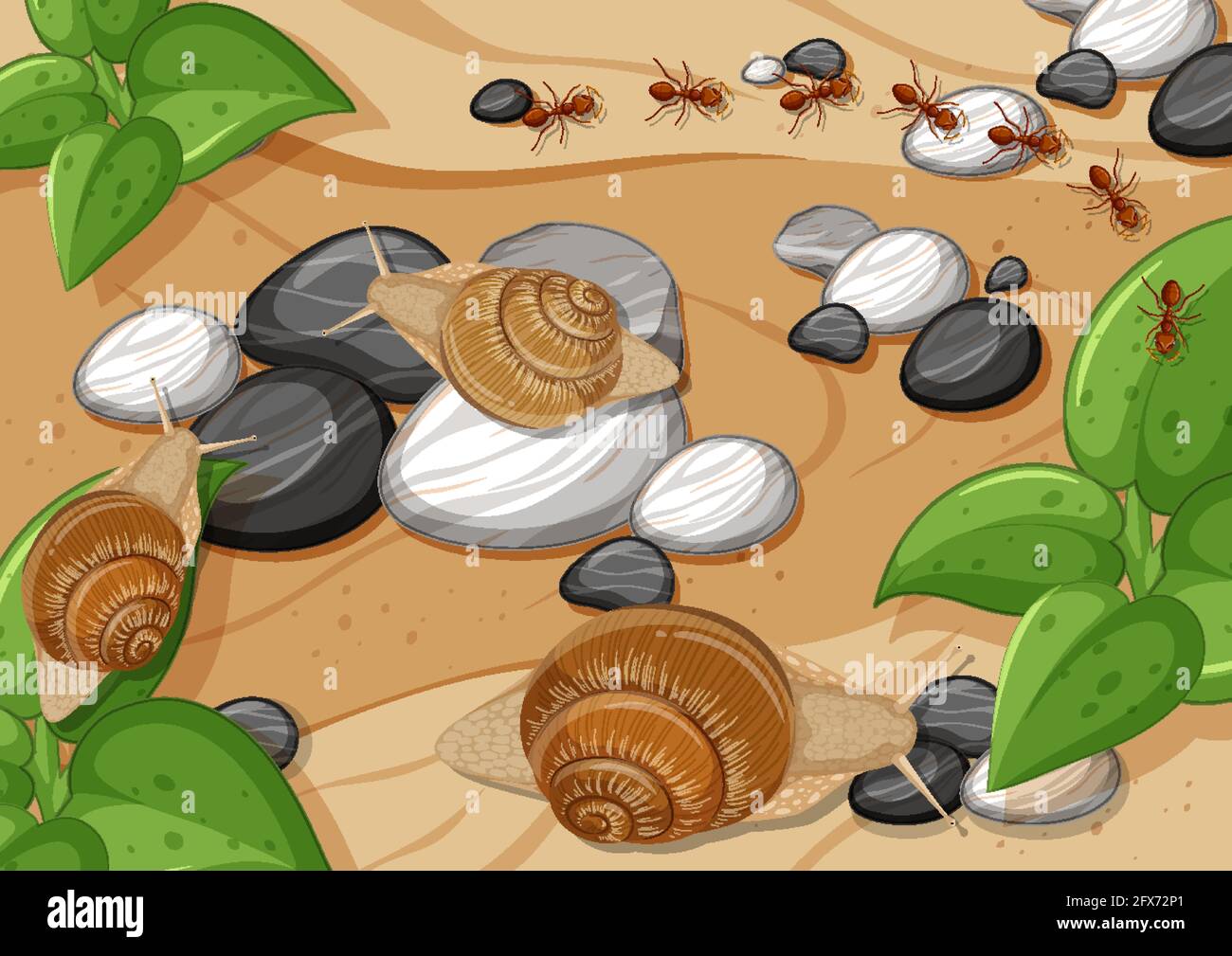 Close up aerial scene with many snail and ants illustration Stock ...