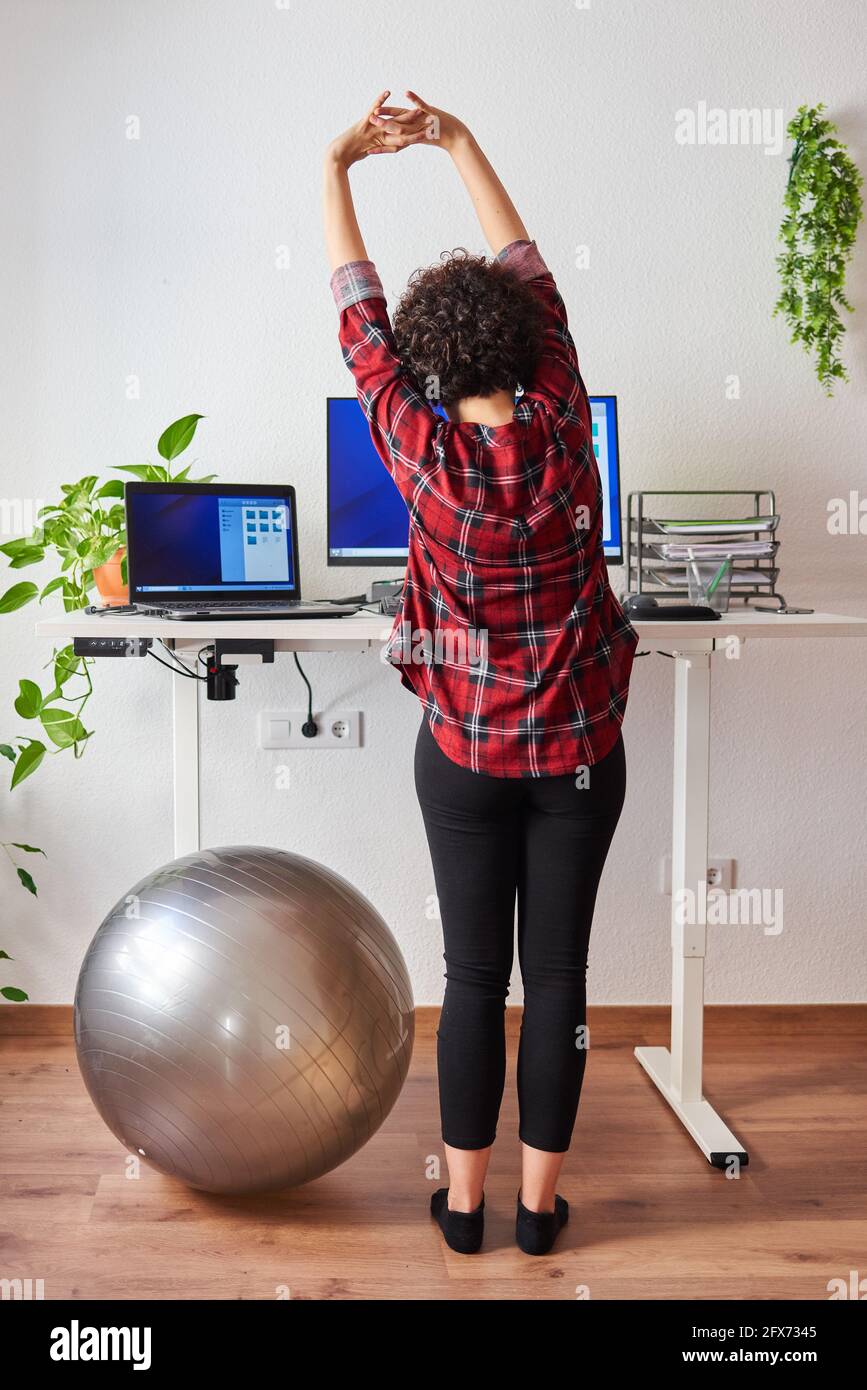 Woman stretches while working at an adjustable desk beside a fitball ...