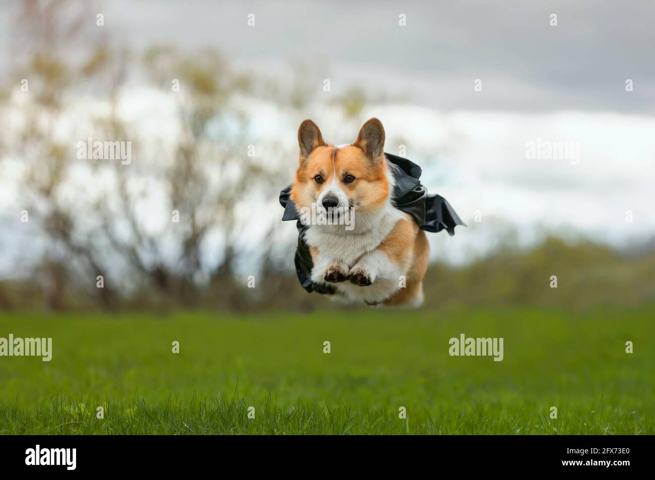 Superhero cape flying hi-res stock photography and images - Alamy