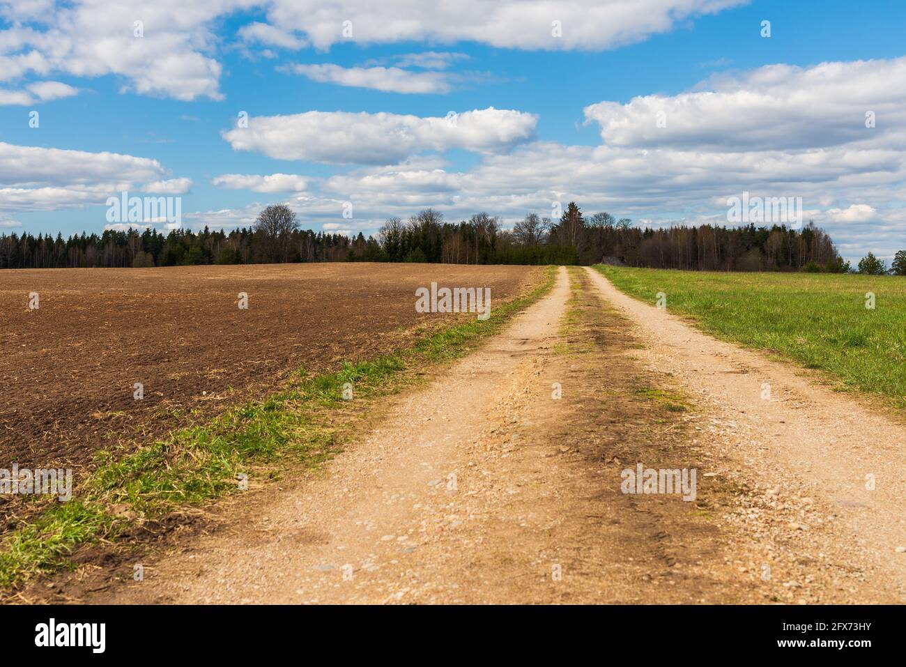 Rural countryside Road lane and deep blue sky,white cloud. Nature ...