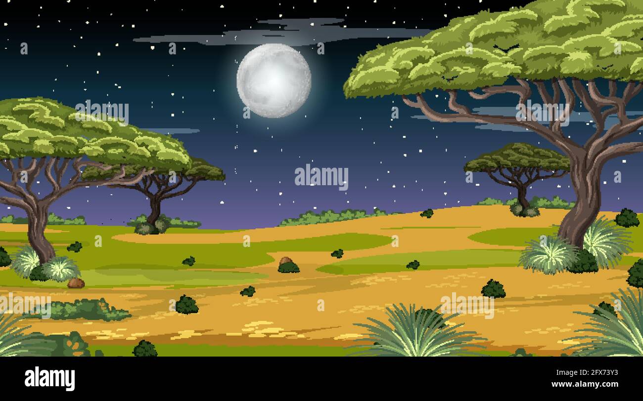Nature forest landscape at night scene illustration Stock Vector Image ...