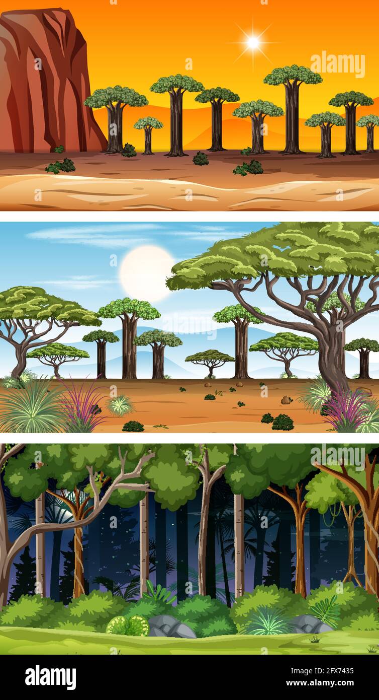 Set of different forest horizontal scenes in different times ...
