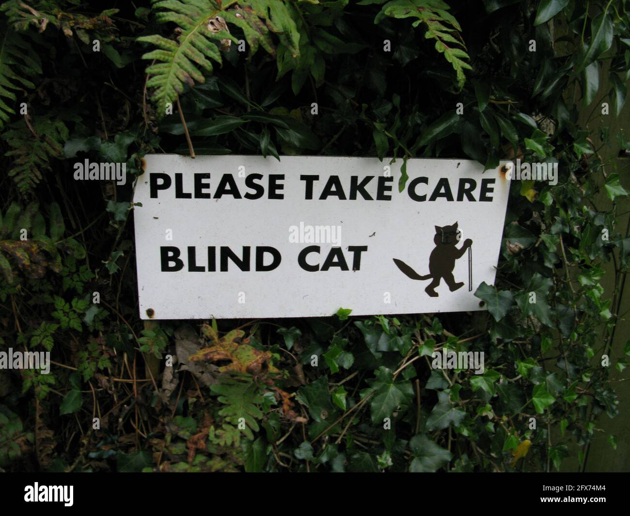 Please take blind cat sign. South west coast path. North Cornwall. West ...