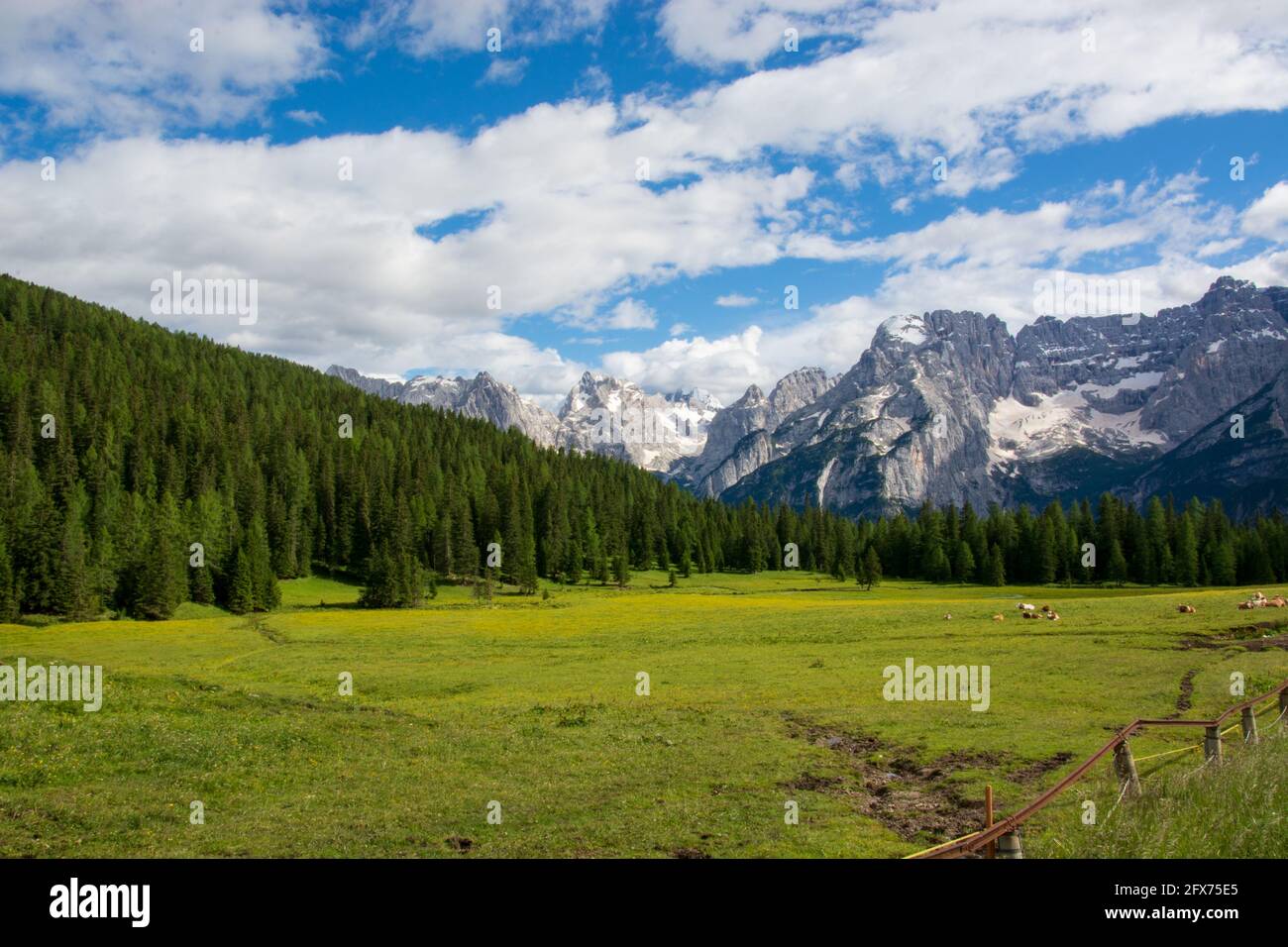 spring in the Dolomites Stock Photo - Alamy