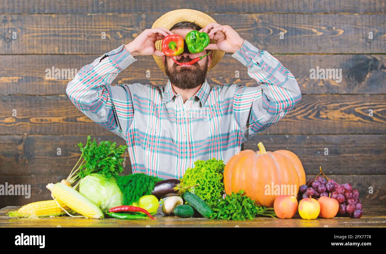 Bearded farmer hold peppers in front of face. Pepper harvest concept ...