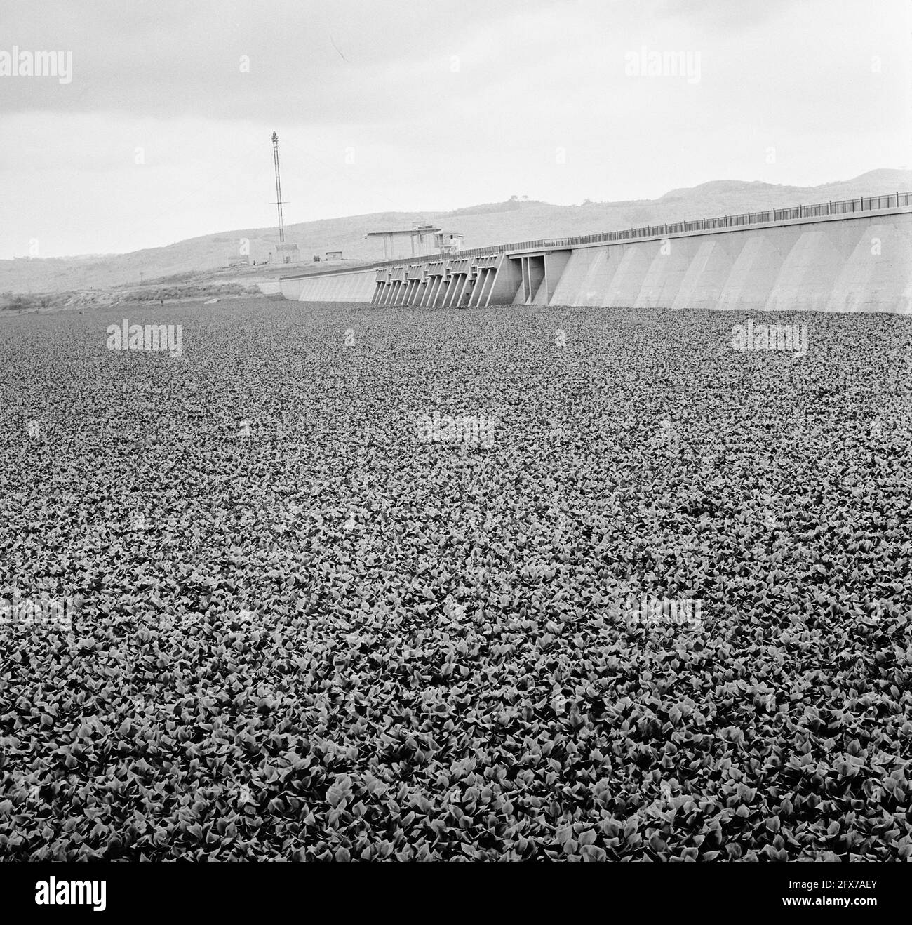 Inga dam hi-res stock photography and images - Alamy