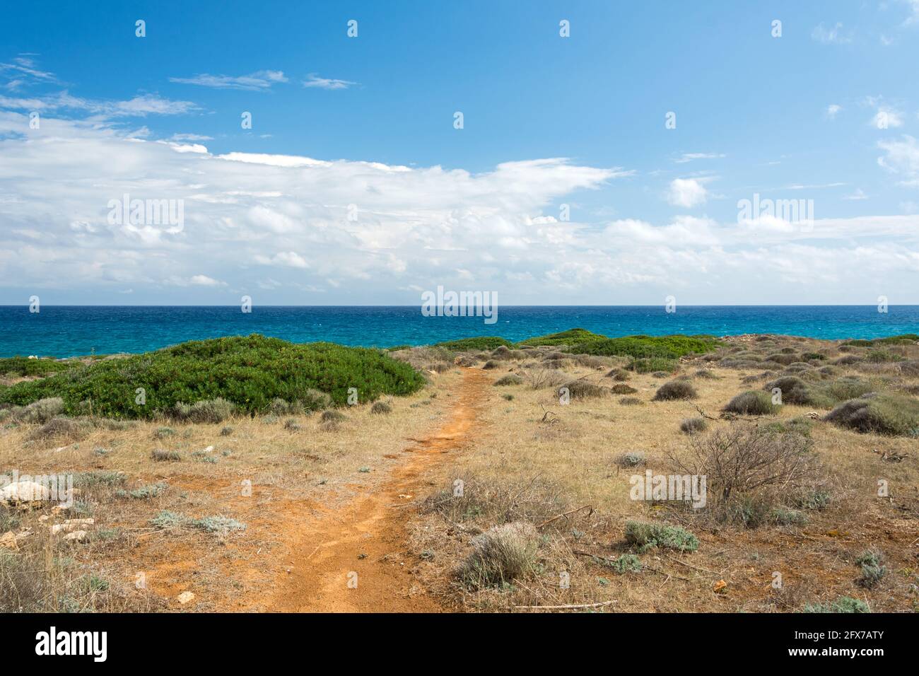 Footpath leading towards the ocean through dune landscape on the island ...