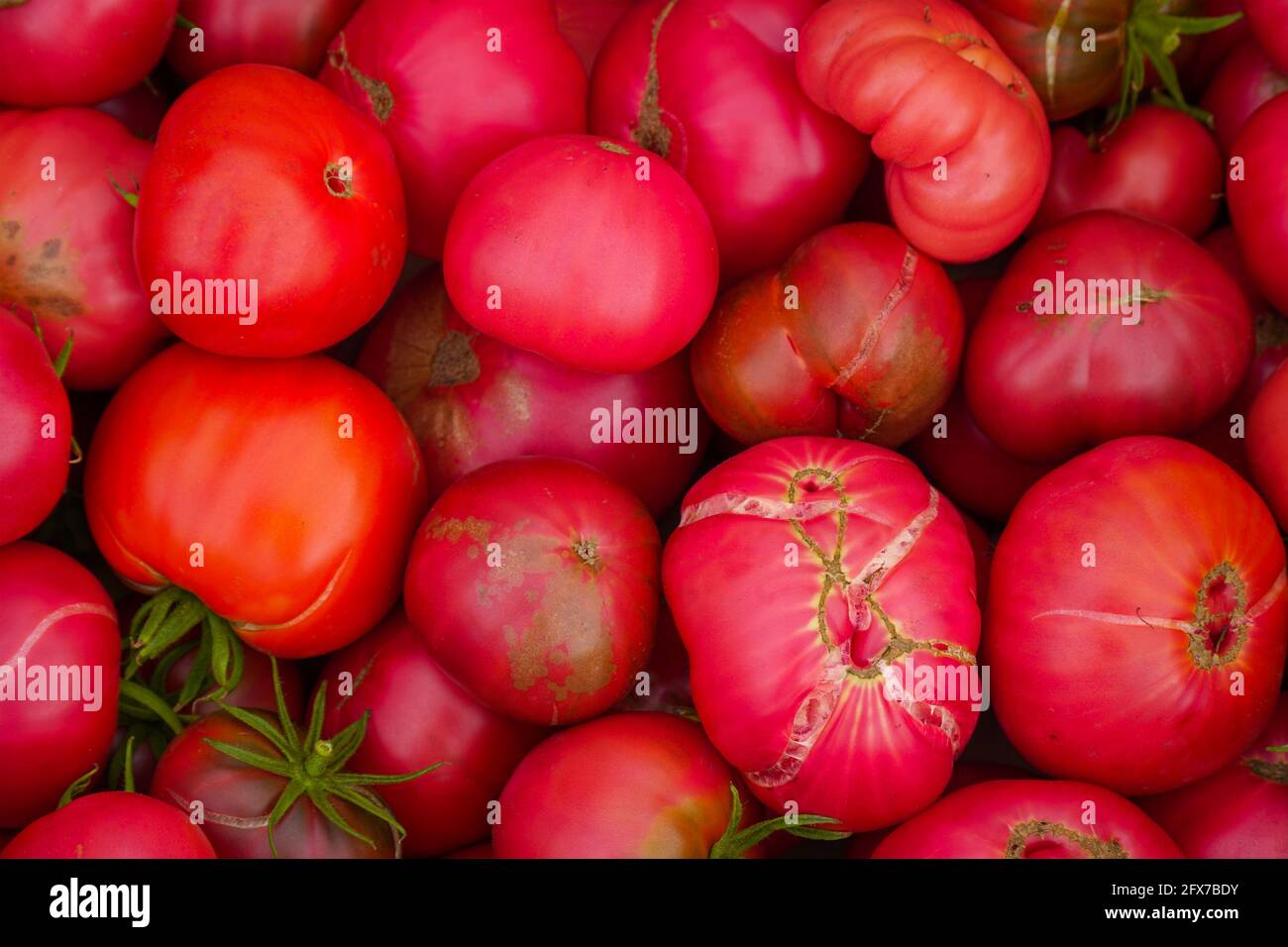 Non commodity view hi-res stock photography and images - Alamy