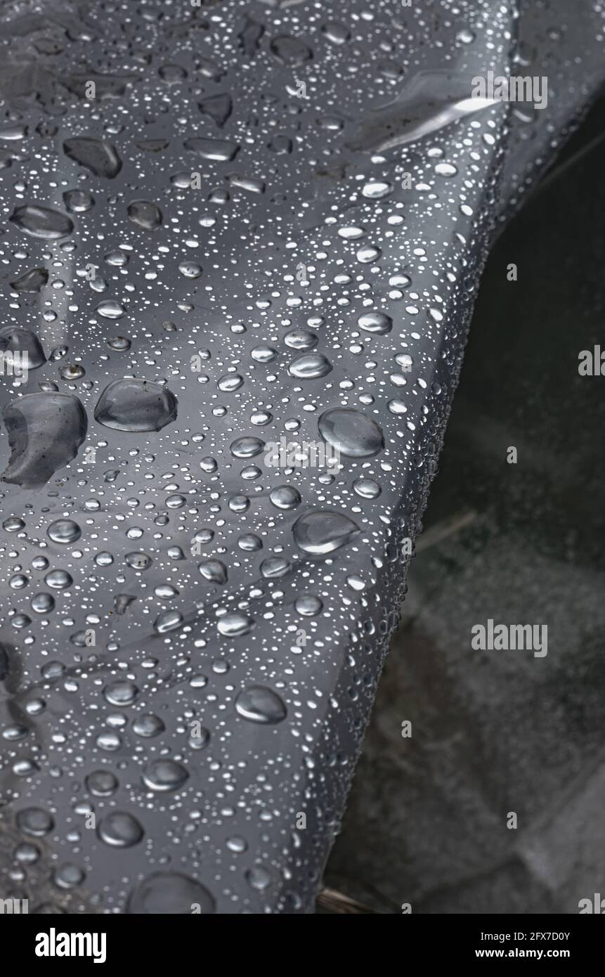 Plastic film with raindrops on the edge of the greenhouse Stock Photo ...