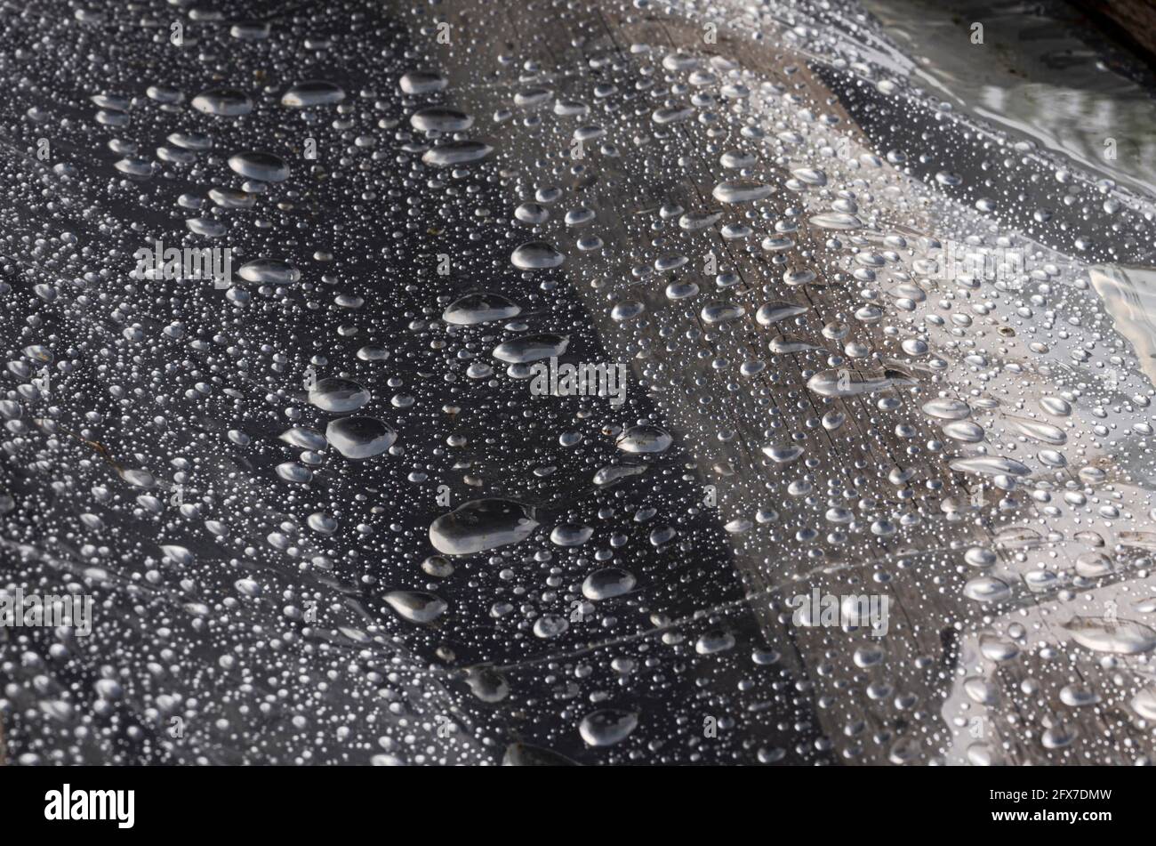 Lots of shiny raindrops on the plastic smooth surface of the rustic ...