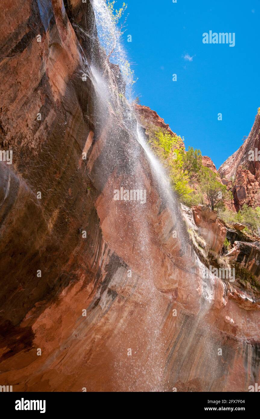 Waterfall and cliff, Emerald Pools, Zion National Park, Utah, USA Stock Photo - Alamy