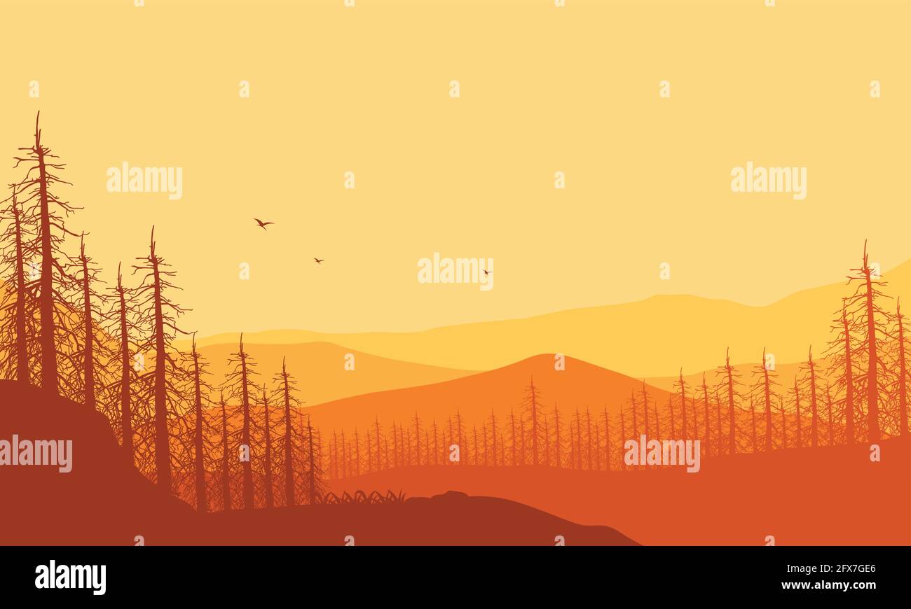 Warm afternoon with incredible natural scenery in the countryside ...