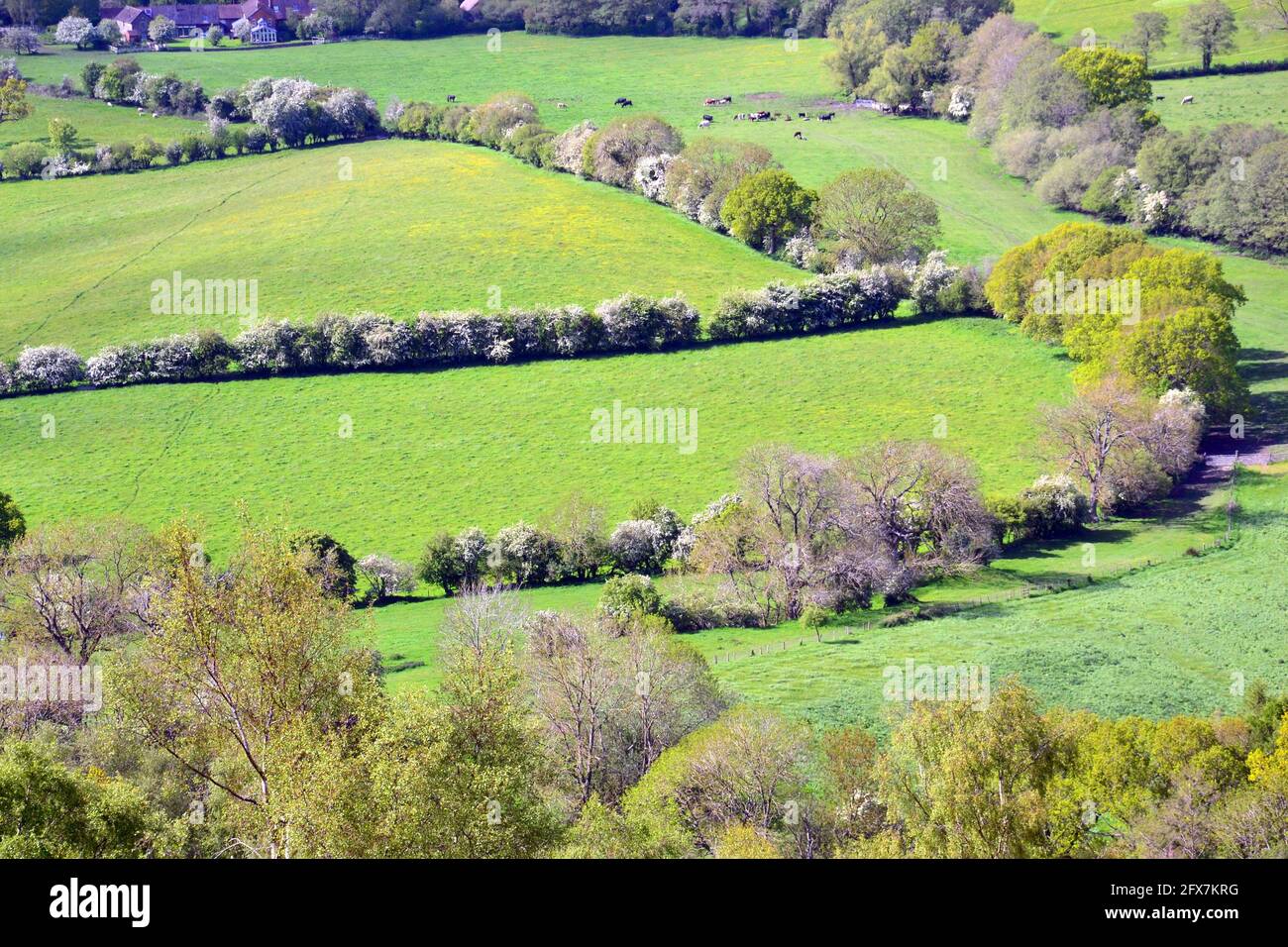 Malvern hills from iron age hi-res stock photography and images - Alamy