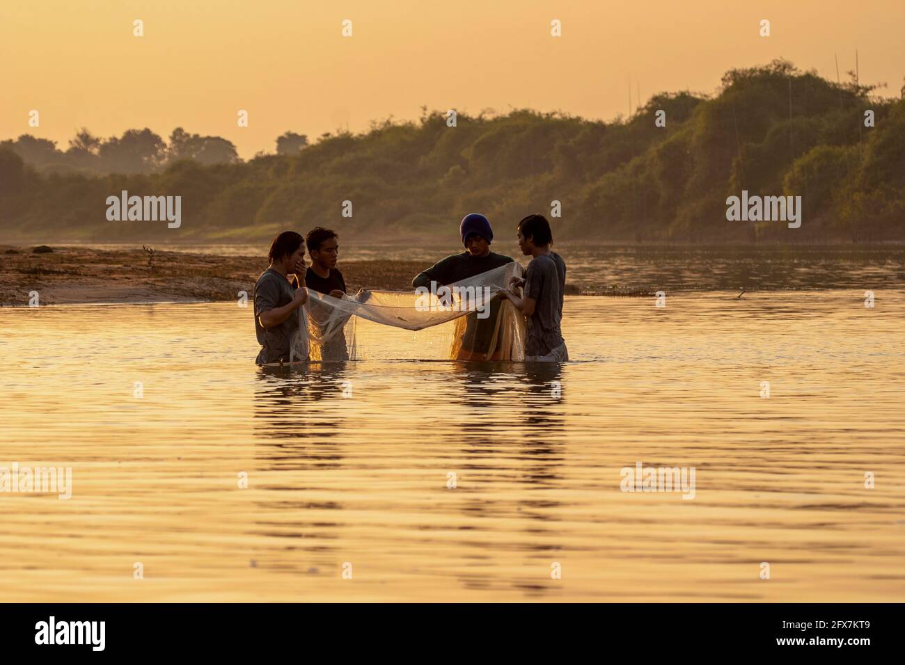 Group of men net fishing in a river in Thailand at sunset Stock Photo ...