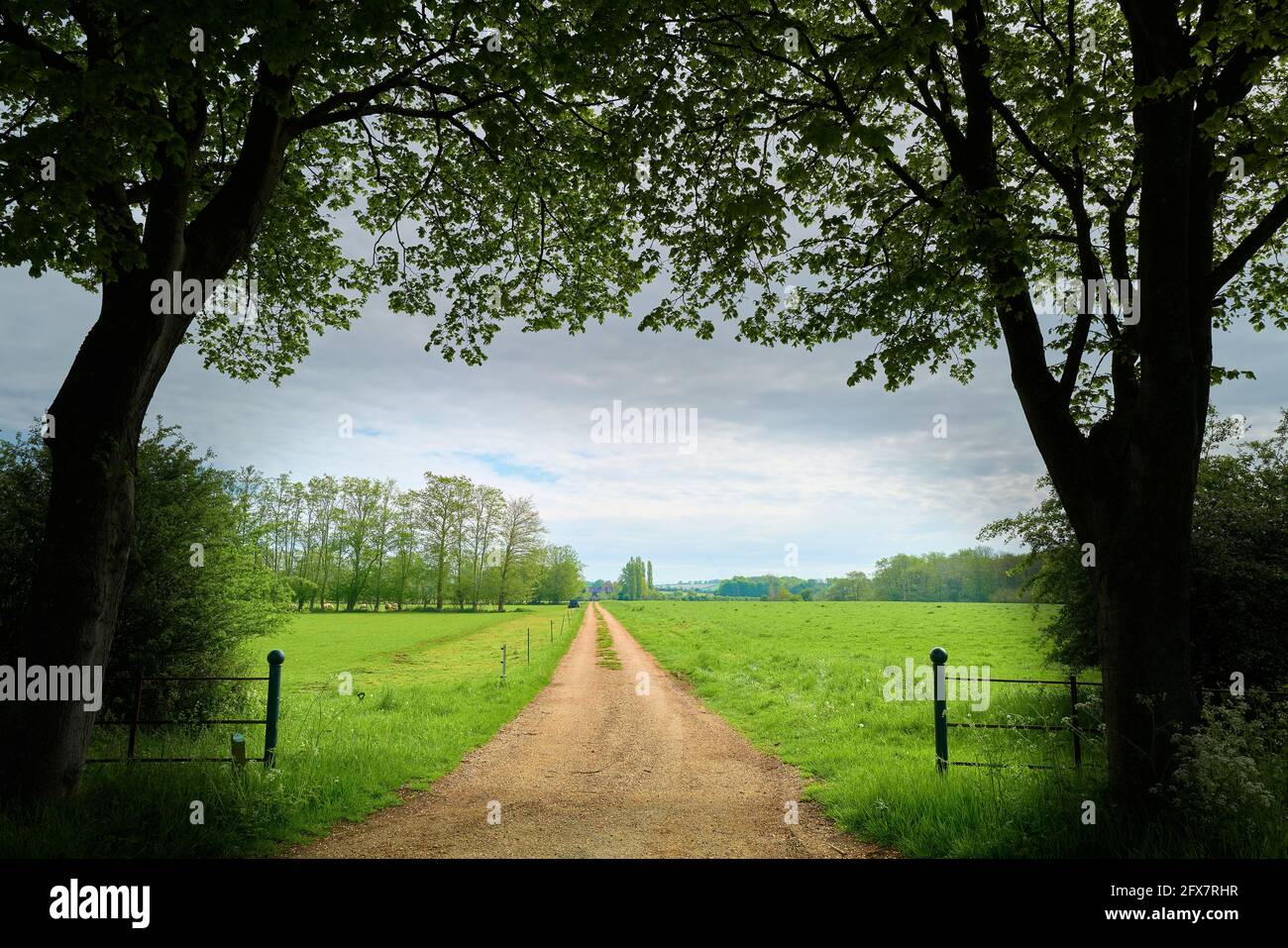 Path through the countryside in spring time Stock Photo - Alamy
