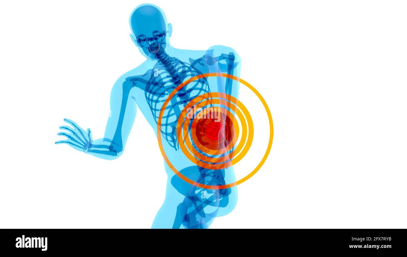 4K anatomy concept of a back pain Stock Photo - Alamy