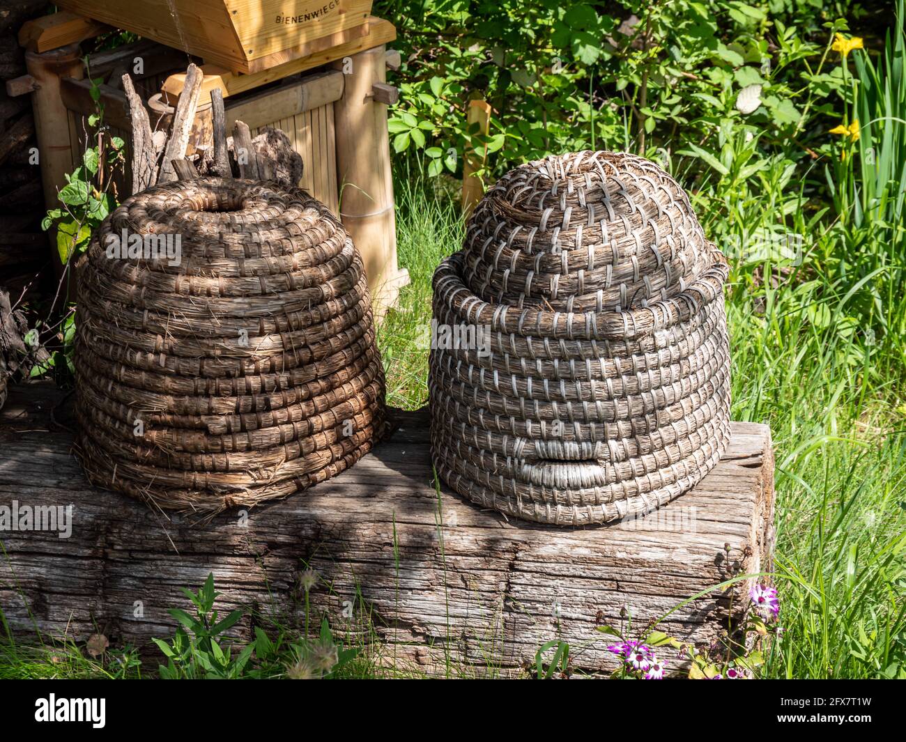 Old beehive stands in the garden Stock Photo - Alamy