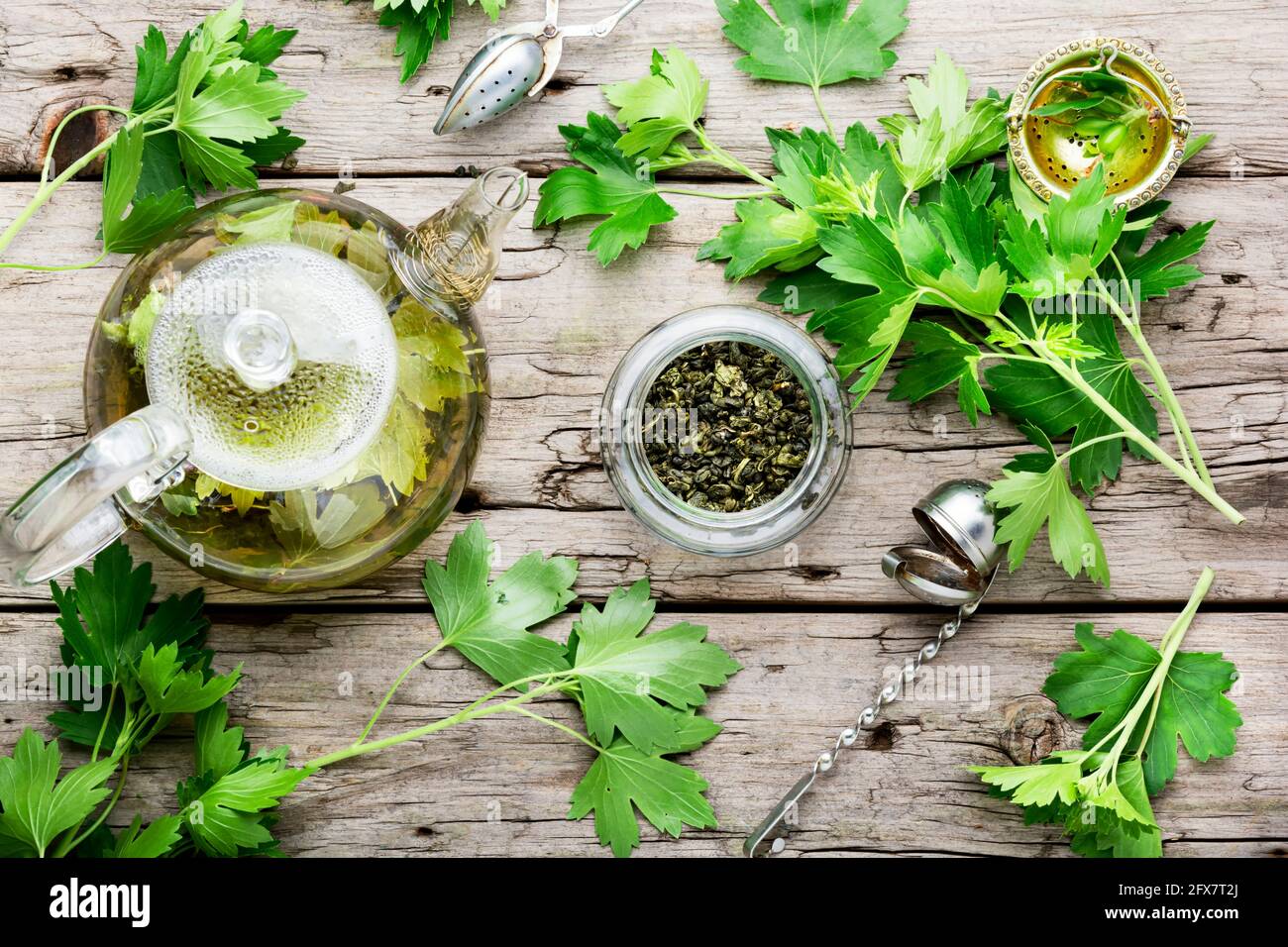 Brewed herbal tea in a stylish glass teapot.Currant leaf tea, herbal ...