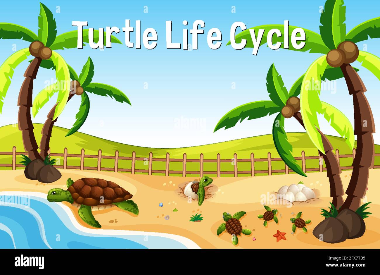Many turtles on the beach scene with Turtle Life Cycle Font ...