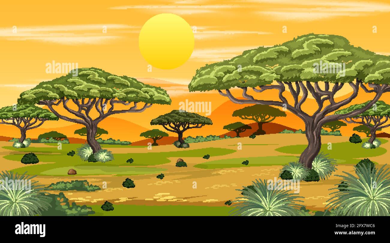 African Savanna forest landscape scene at sunset illustration Stock ...