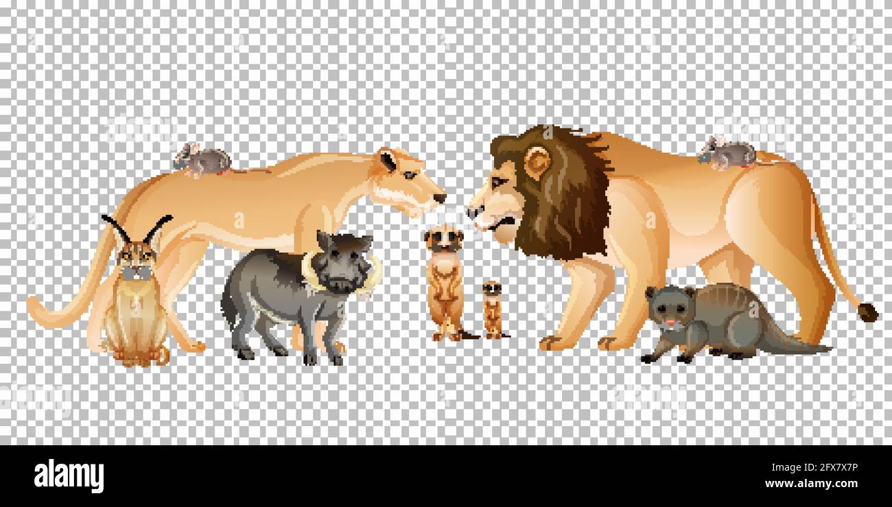 Group of wild african animal on transparent background illustration ...
