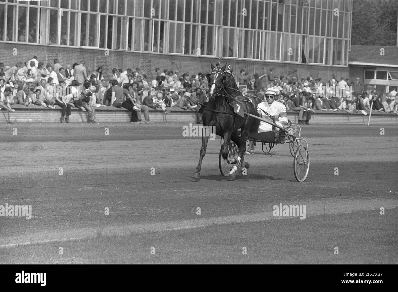 Dutch trotting championship Black and White Stock Photos & Images - Alamy