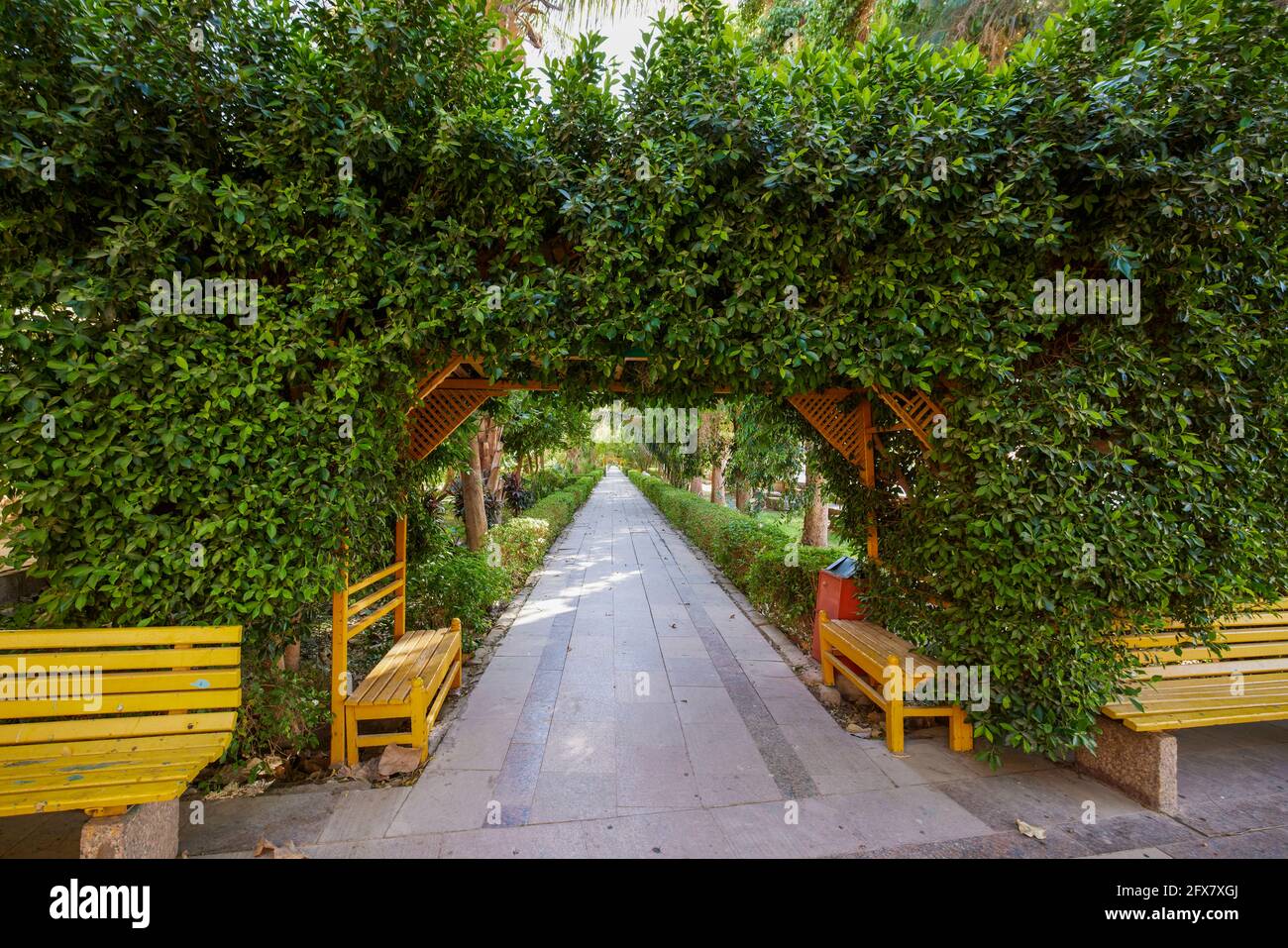 Aswan botanical garden hi-res stock photography and images - Alamy