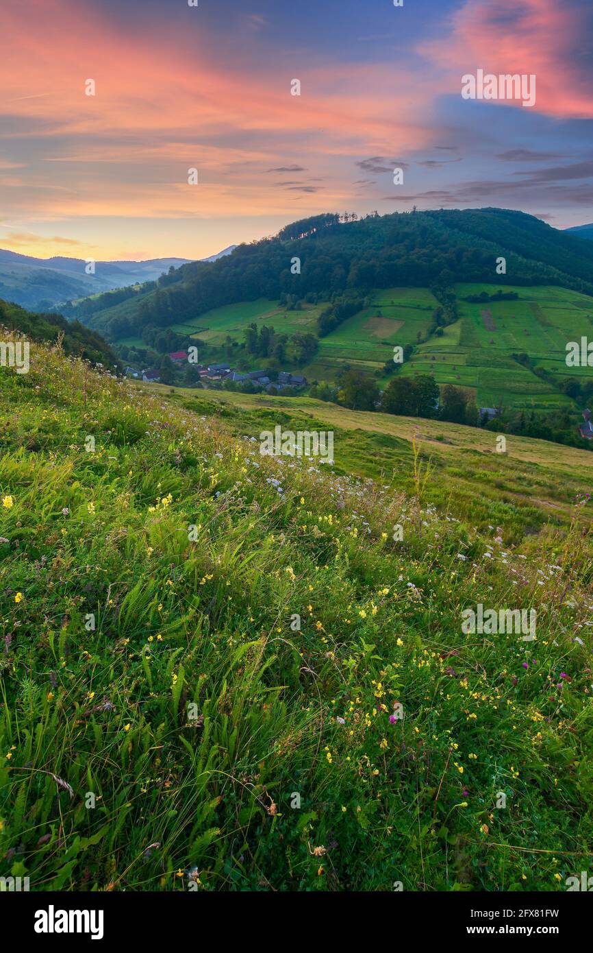 countryside valley scenery at sunrise. beautiful carpathian nature ...