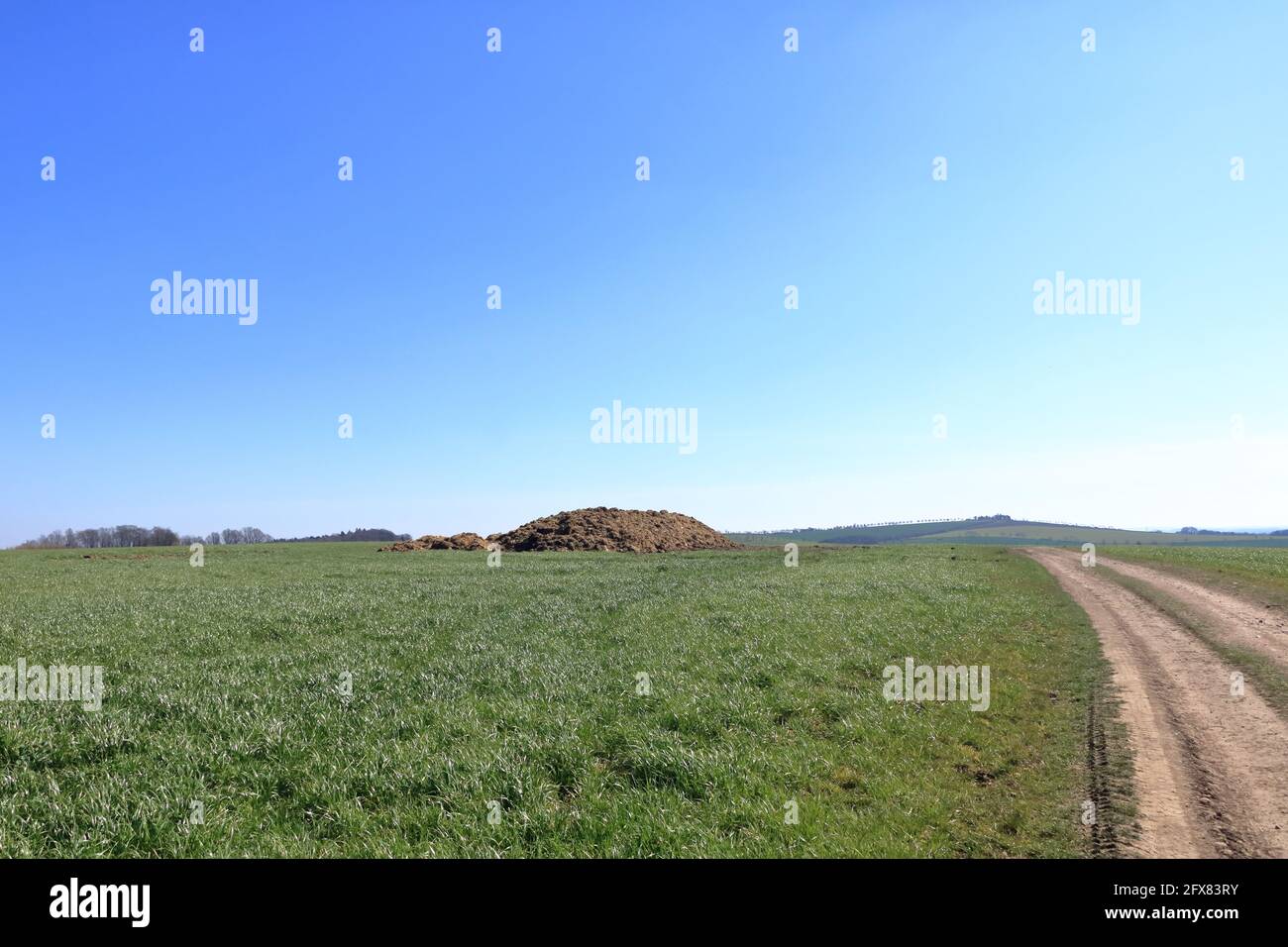 Cattle manure heap on farm land hi-res stock photography and images - Alamy