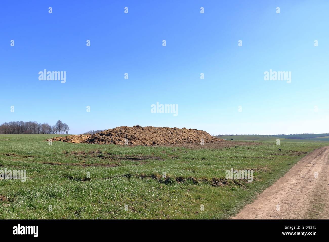 Natural dunghill on the land Stock Photo - Alamy