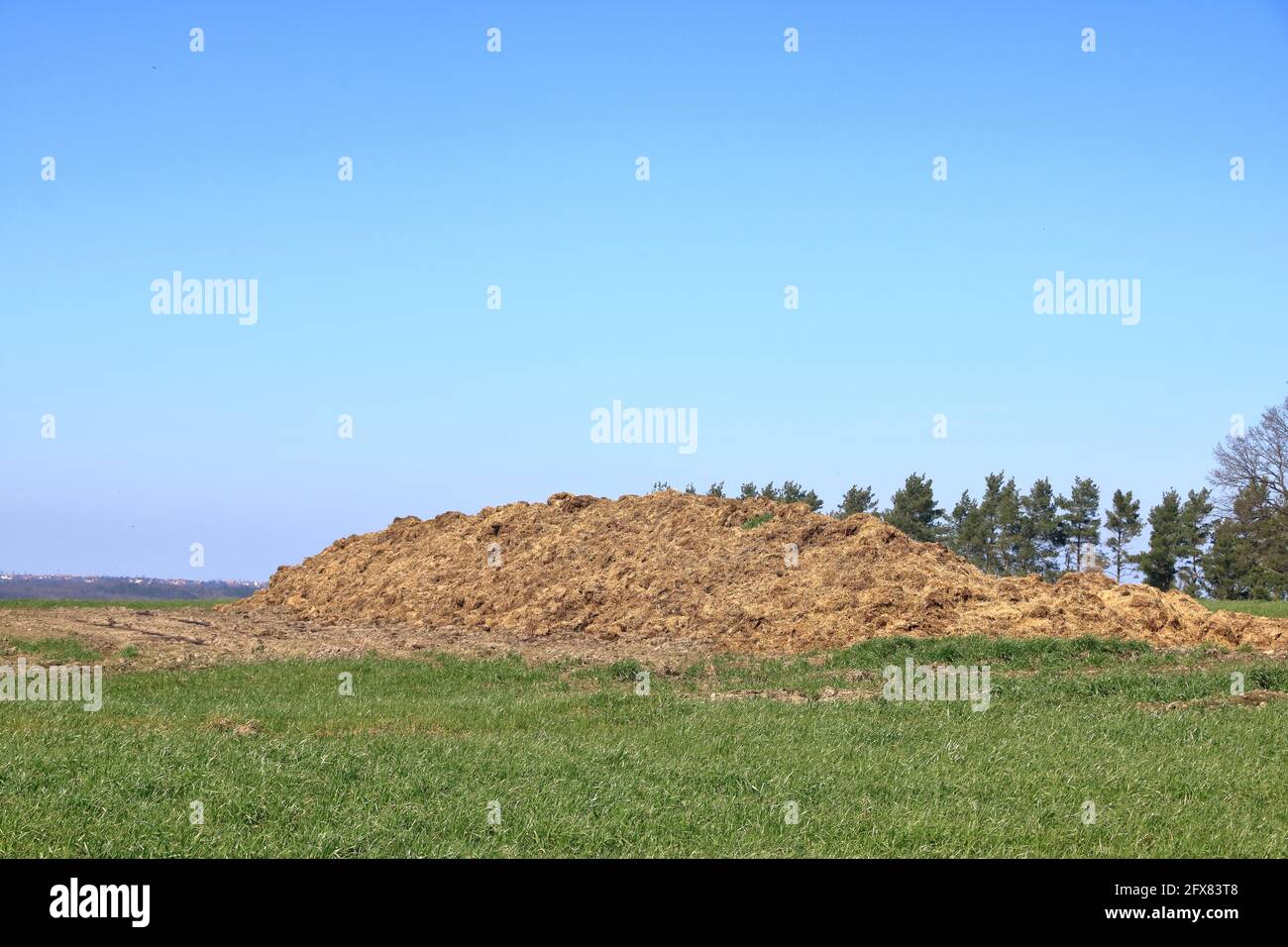 Cattle manure heap on farm land hi-res stock photography and images - Alamy