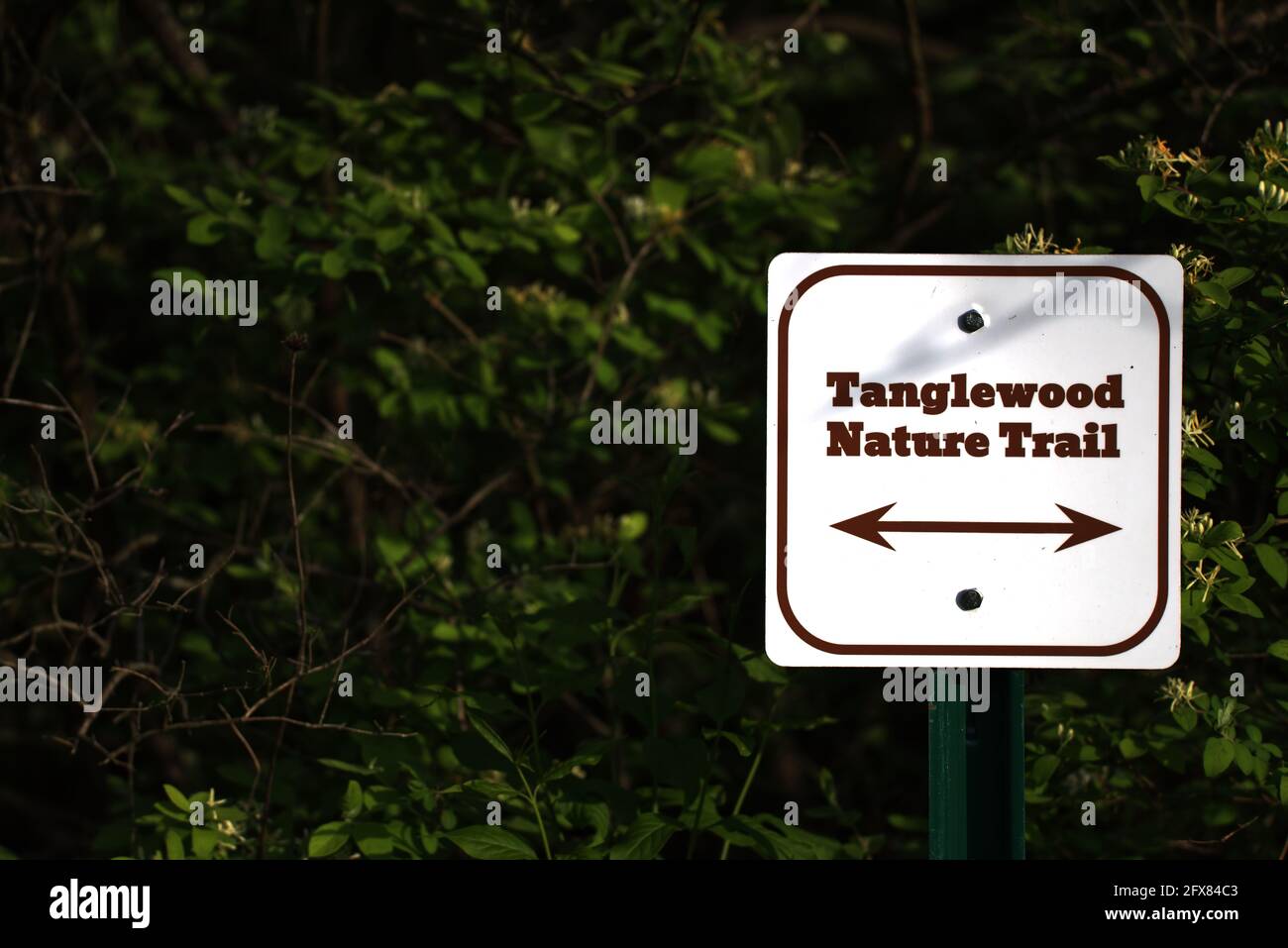 Tanglewood park hi-res stock photography and images - Alamy