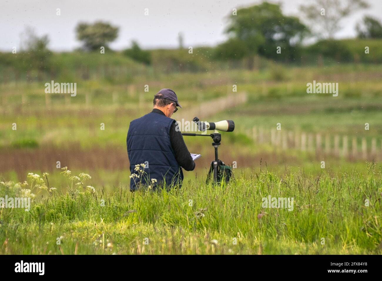 Southport, Marshside wetland nature reserve, Merseyside. 26 May 2021 UK ...